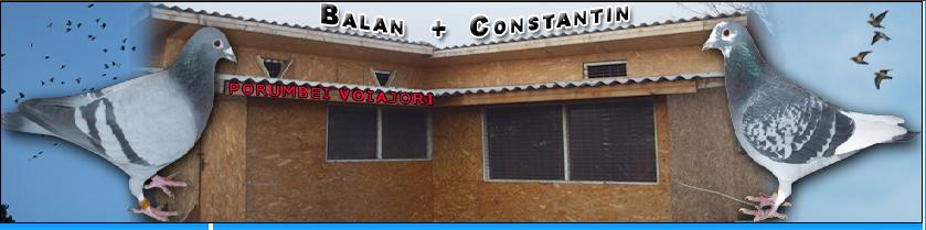 Tandemul columbofil Balan Madalin si Constantin Nicolae – Valea ...