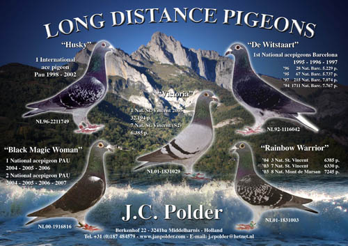 Olandezul Jan Polder, un zburator valoros de fond si maraton - Articole ...