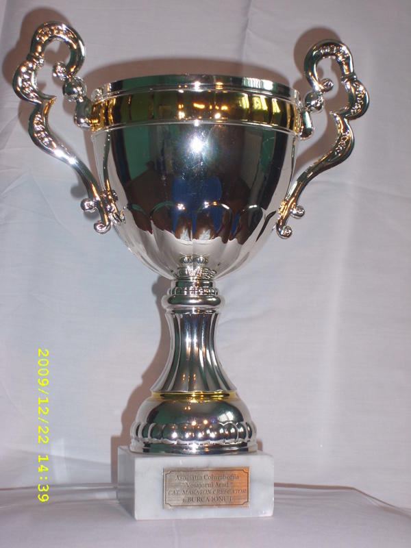 Interviu dl. Burca Ionut Sebastian, FCPR Arad - partea a 2-a ...