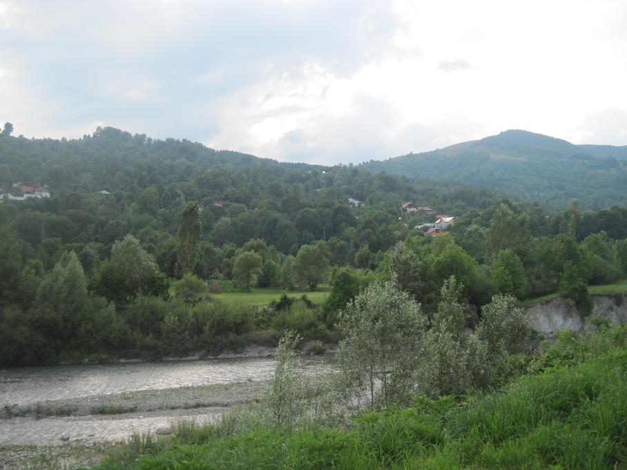 Imagini cu porumbeii si crescatoria domnului Valentin Traistaru, orasul ...