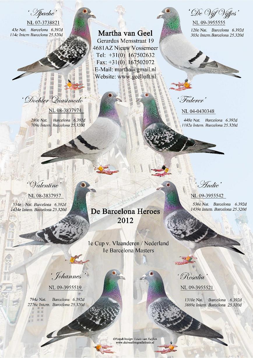 Interviu columbofil cu doamna MARTHA VAN GEEL - Olanda - februarie 2014 ...