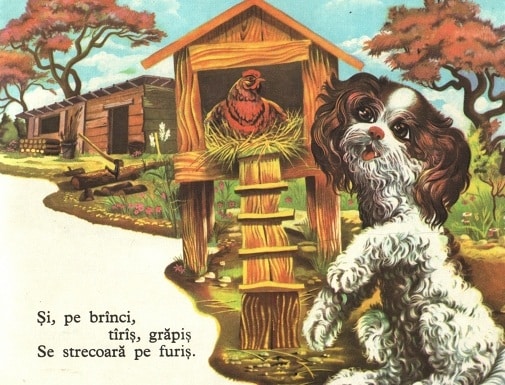 Poezia lui ZDREANTA - in versiune columbofila moderna - Diverse ...