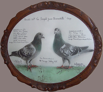 Georges si Victor Fabry - pagini de istorie columbofila - Articole ...