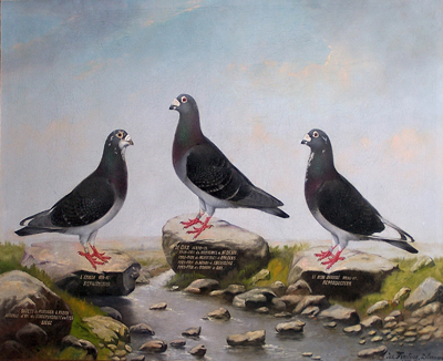 Georges si Victor Fabry - pagini de istorie columbofila - Articole ...